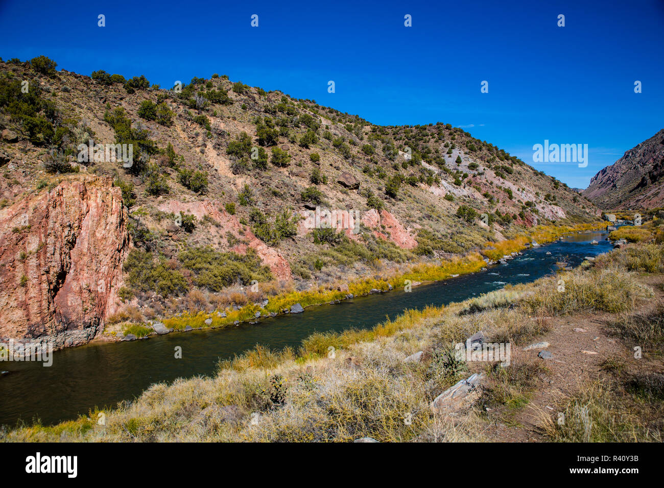 Taos, New Mexico. Red rock and autumn color along the Rio Grand Gorge ...