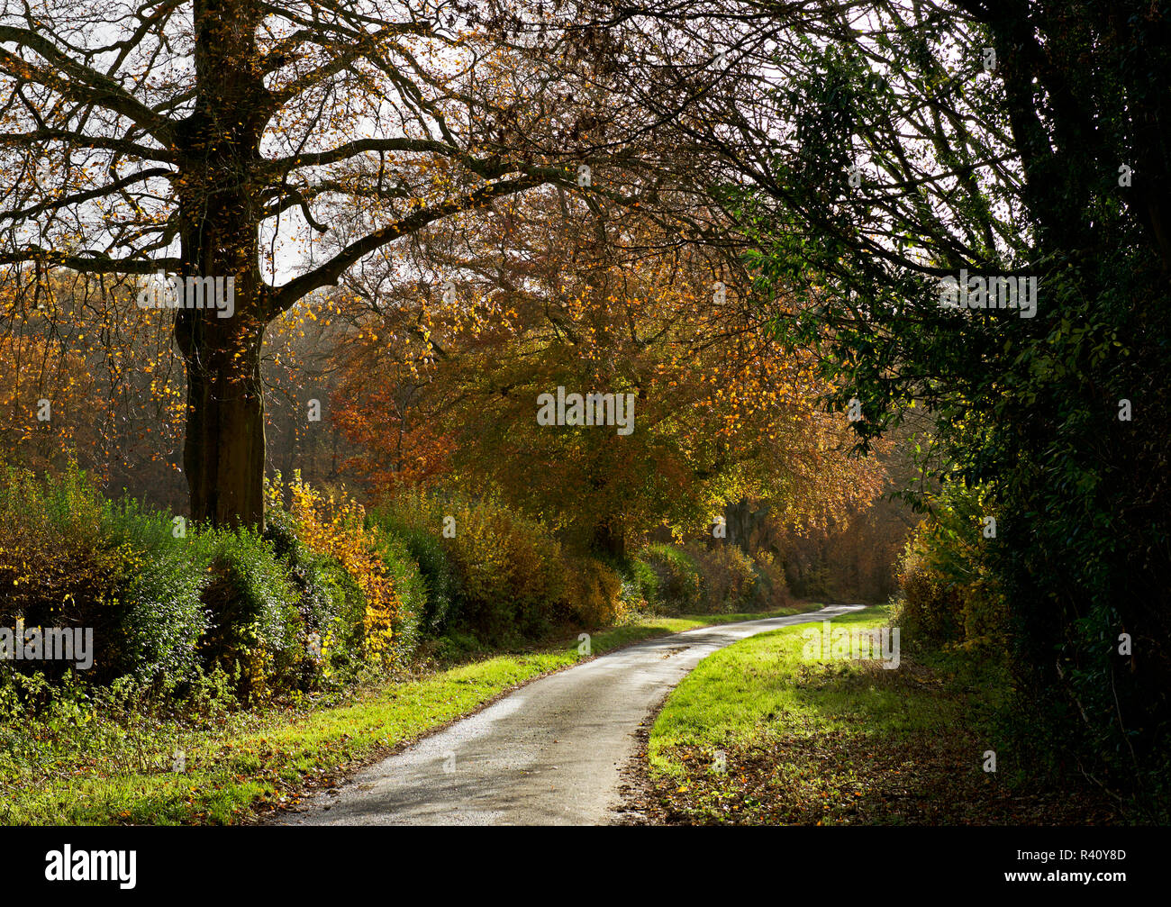 Bramdean hampshire hi-res stock photography and images - Alamy