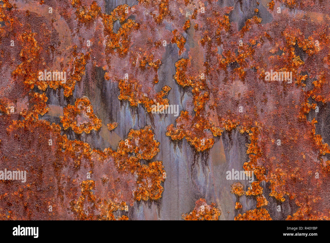 Pitted chrome hi-res stock photography and images - Alamy