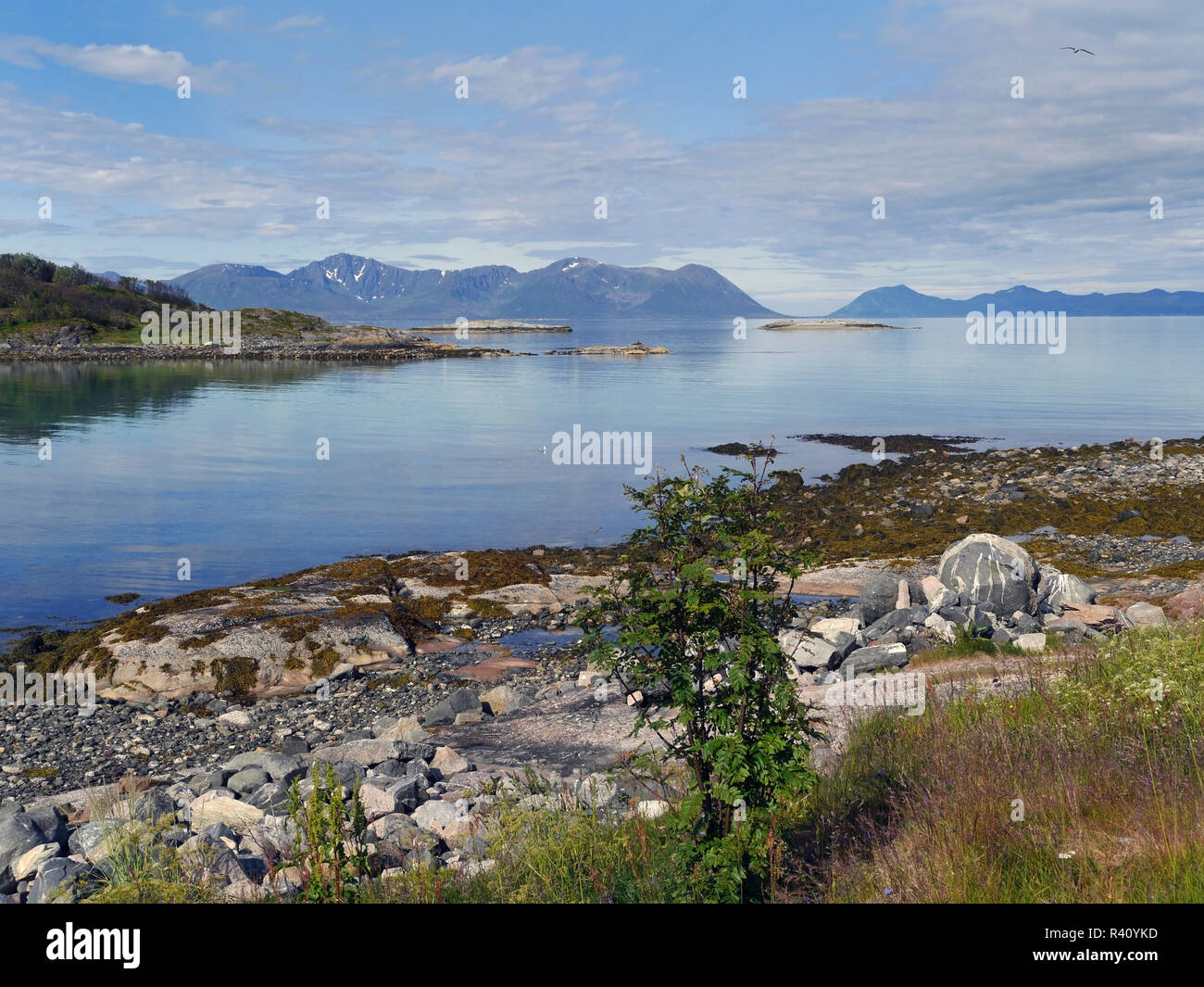 Ytre elgsnes hi-res stock photography and images - Alamy