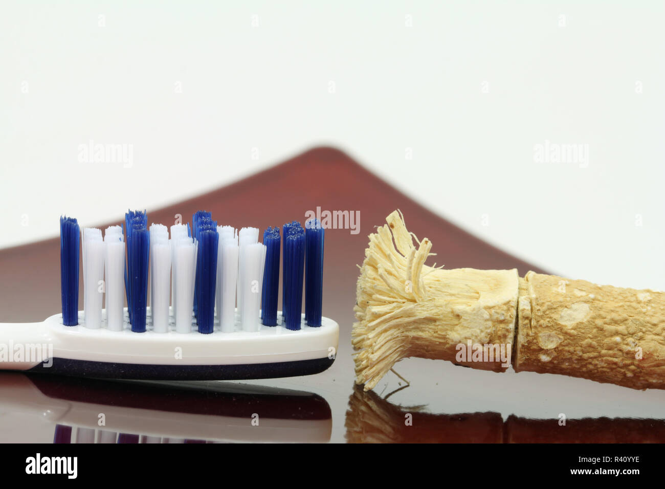 Toothbrush tree hi-res stock photography and images - Alamy