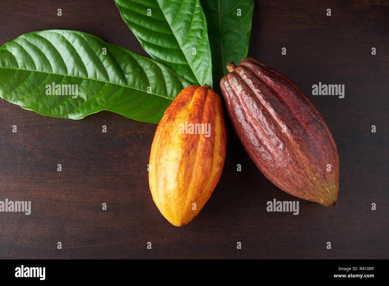 Cacao pods from harvest on dark wooden background Stock Photo - Alamy
