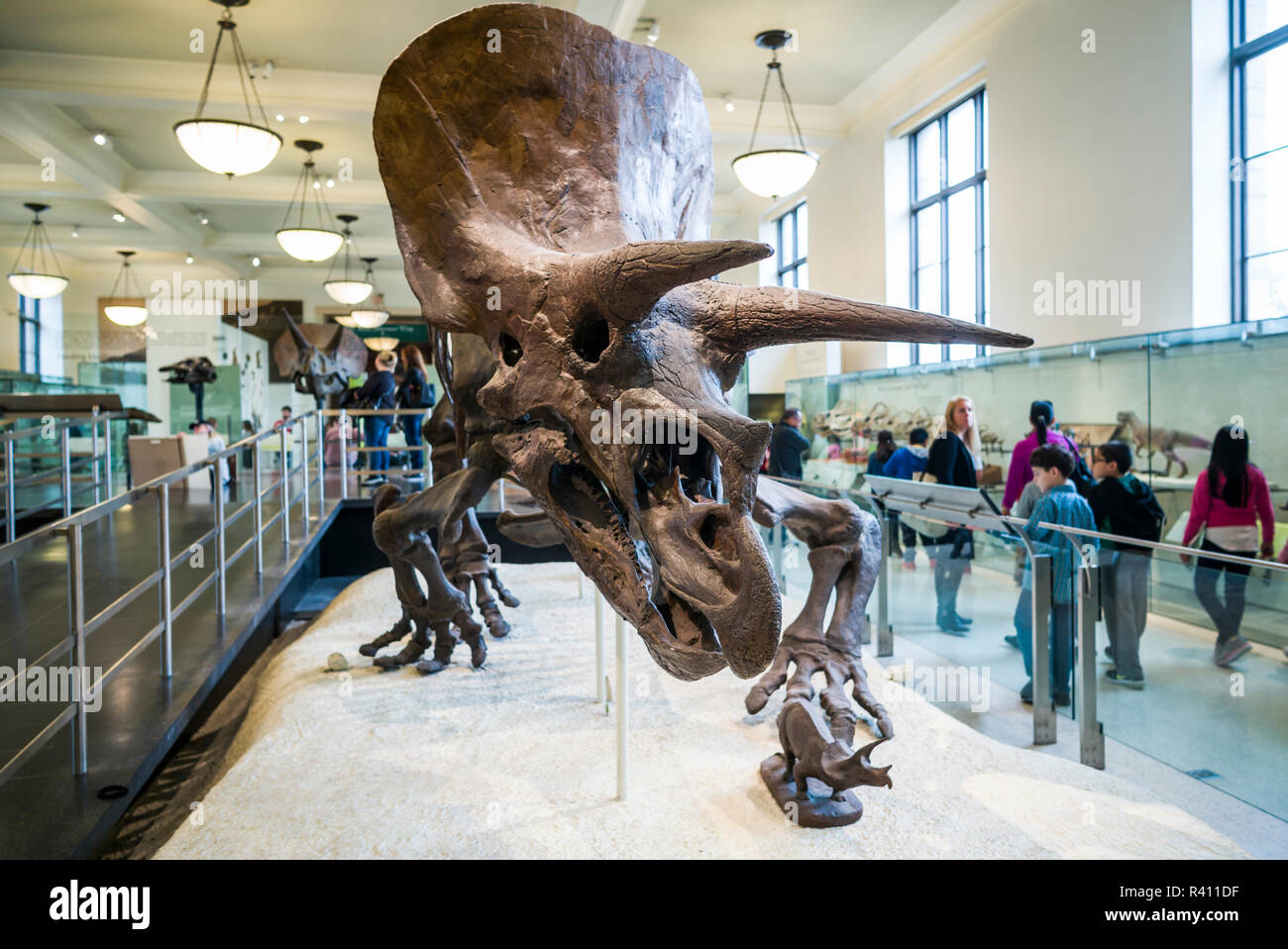 USA, New York City, Upper West Side, Museum of Natural History ...