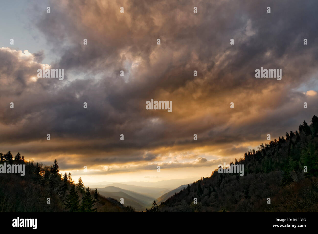 Newfound Gap Spring High Resolution Stock Photography and Images - Alamy