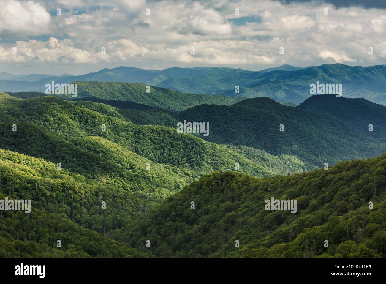 View of Deep Creek in spring, Great Smoky Mountains National Park ...