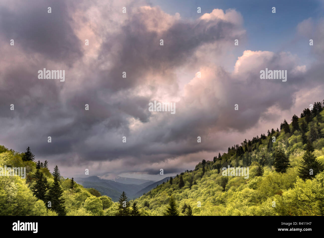 Newfound Gap Spring High Resolution Stock Photography and Images - Alamy