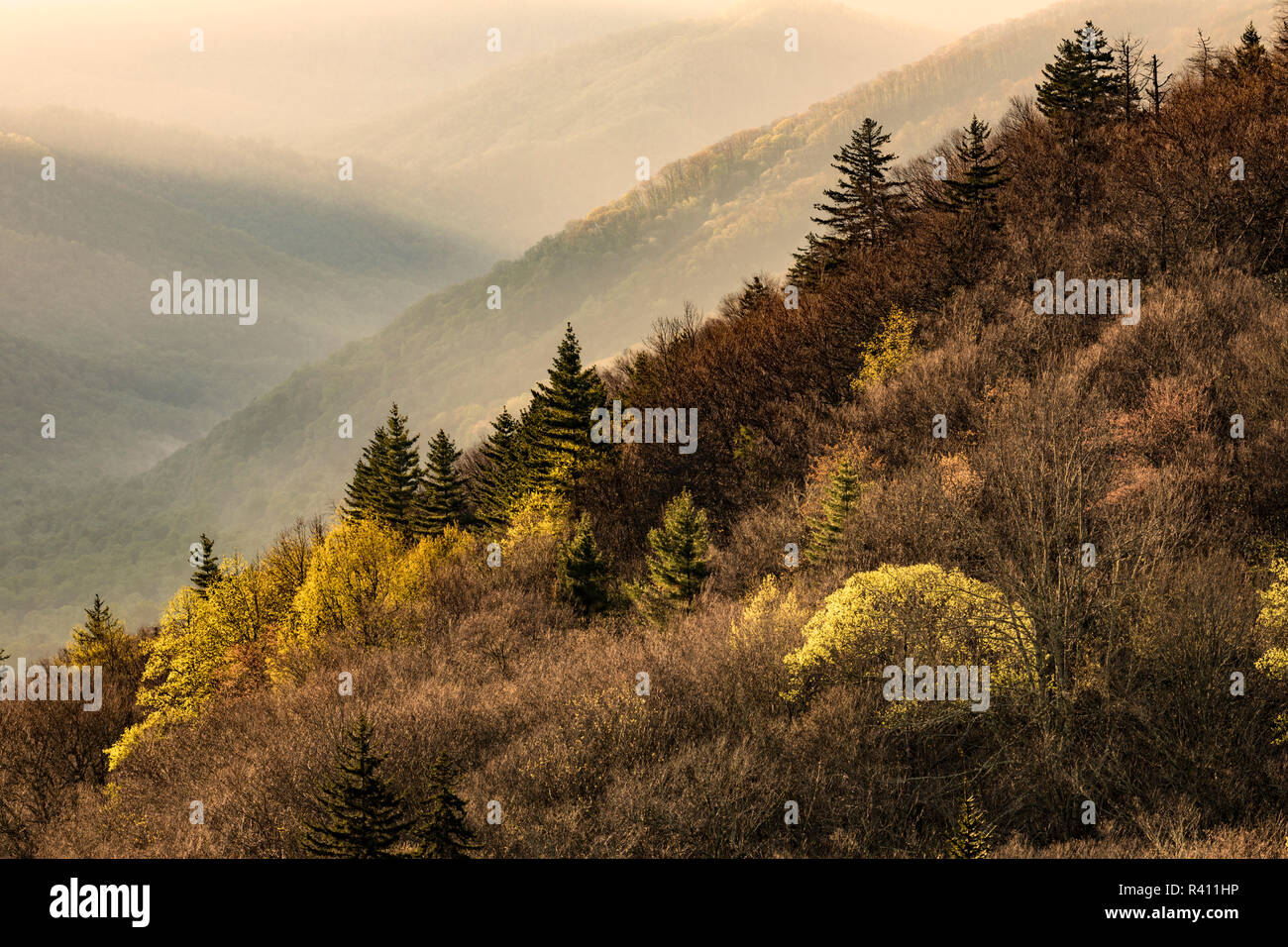 Newfound Gap Spring High Resolution Stock Photography and Images - Alamy