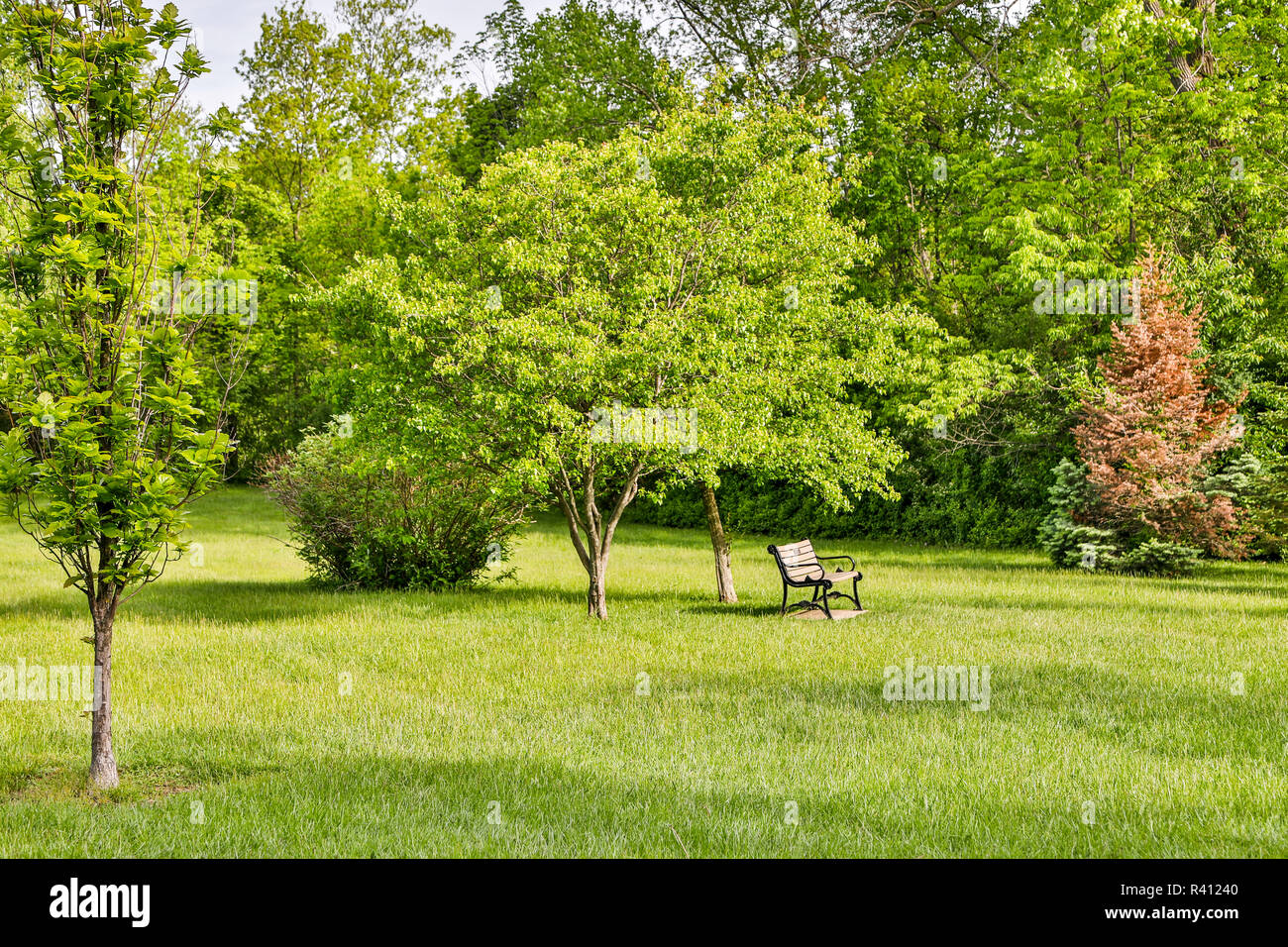 Tree shaker hi-res stock photography and images - Alamy