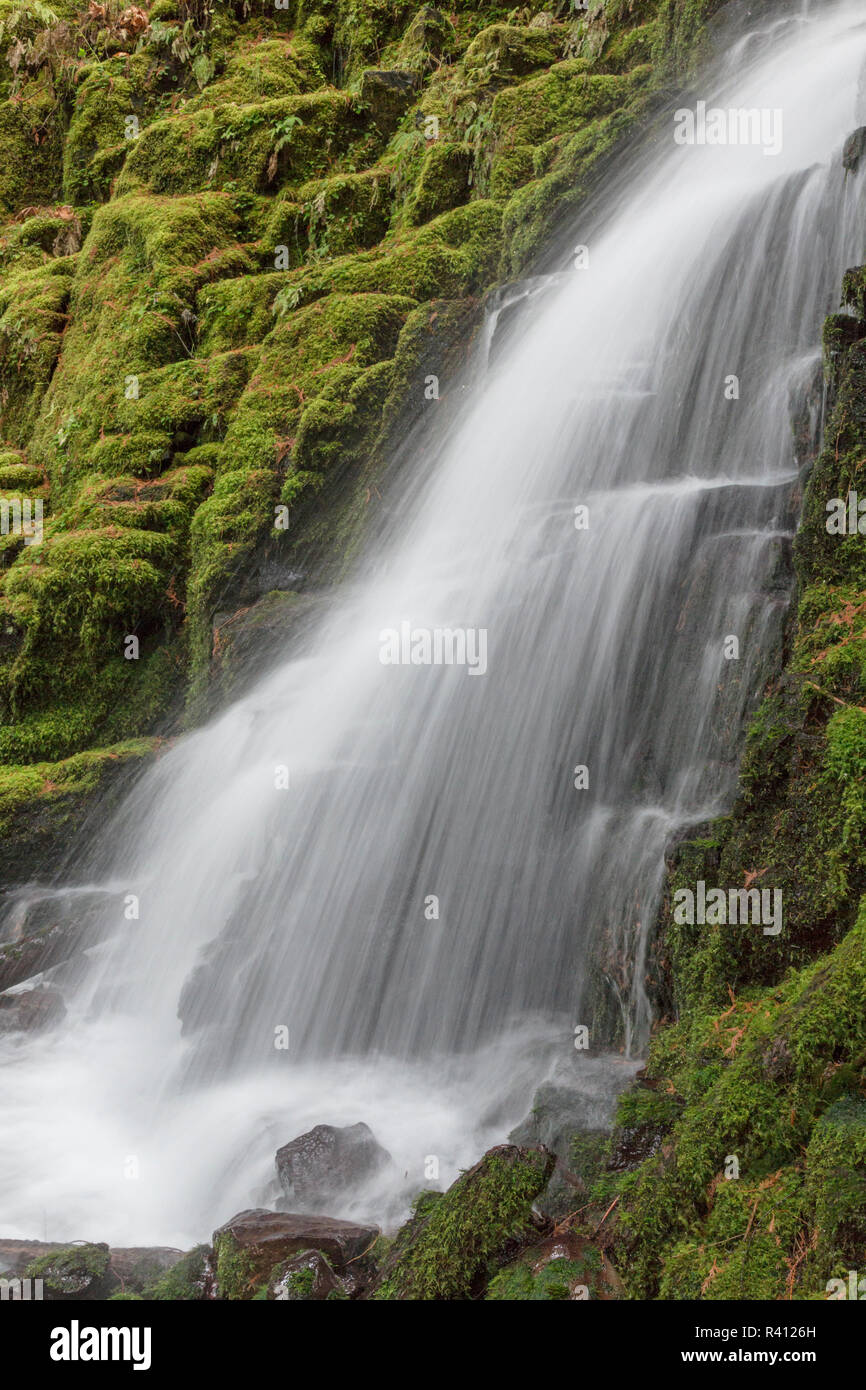 North branch cascades hi-res stock photography and images - Alamy