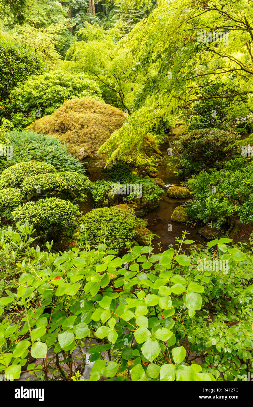 Oregon bushes hi-res stock photography and images - Alamy