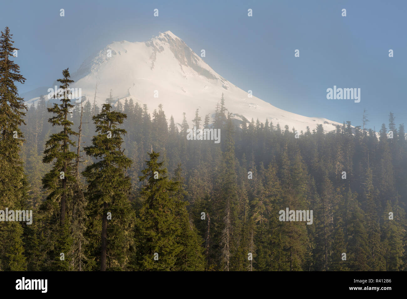 Oregon mt hood hi-res stock photography and images - Alamy