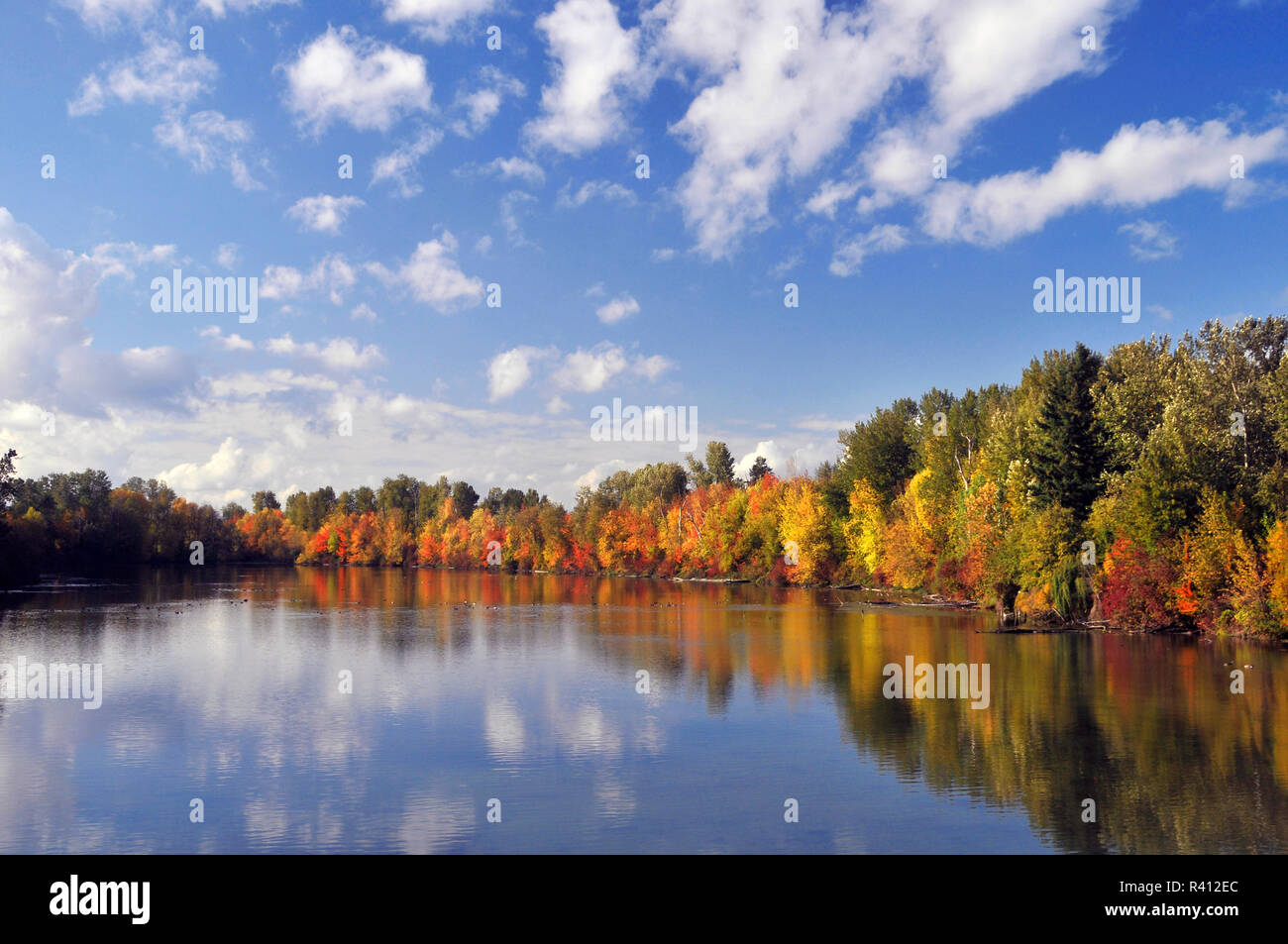Portland oregon johnson lake autumn hi-res stock photography and images ...