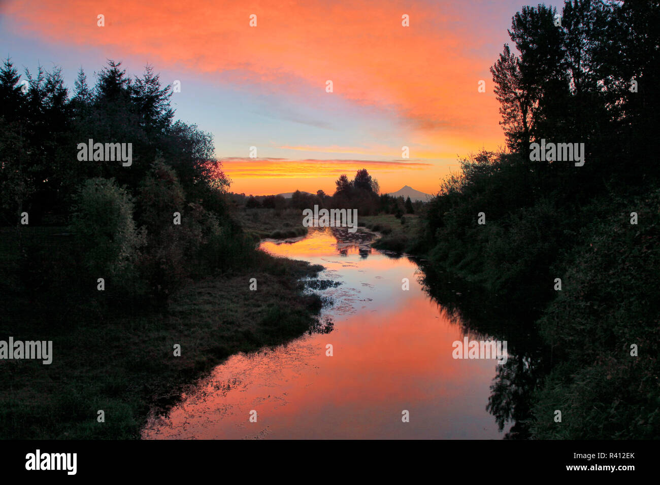 Columbia river slough hi-res stock photography and images - Alamy