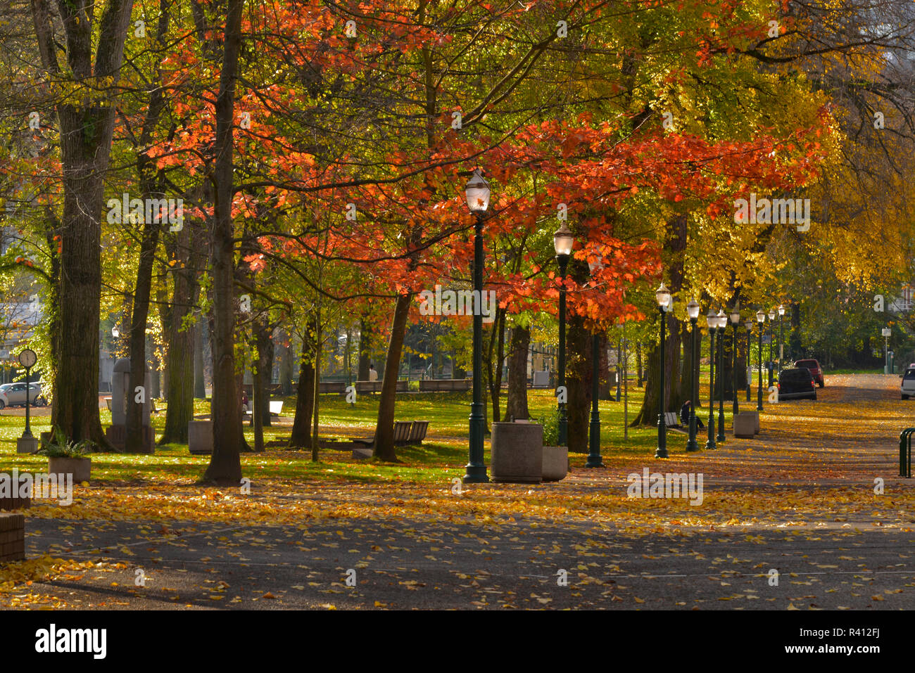 Portland park blocks hi-res stock photography and images - Alamy