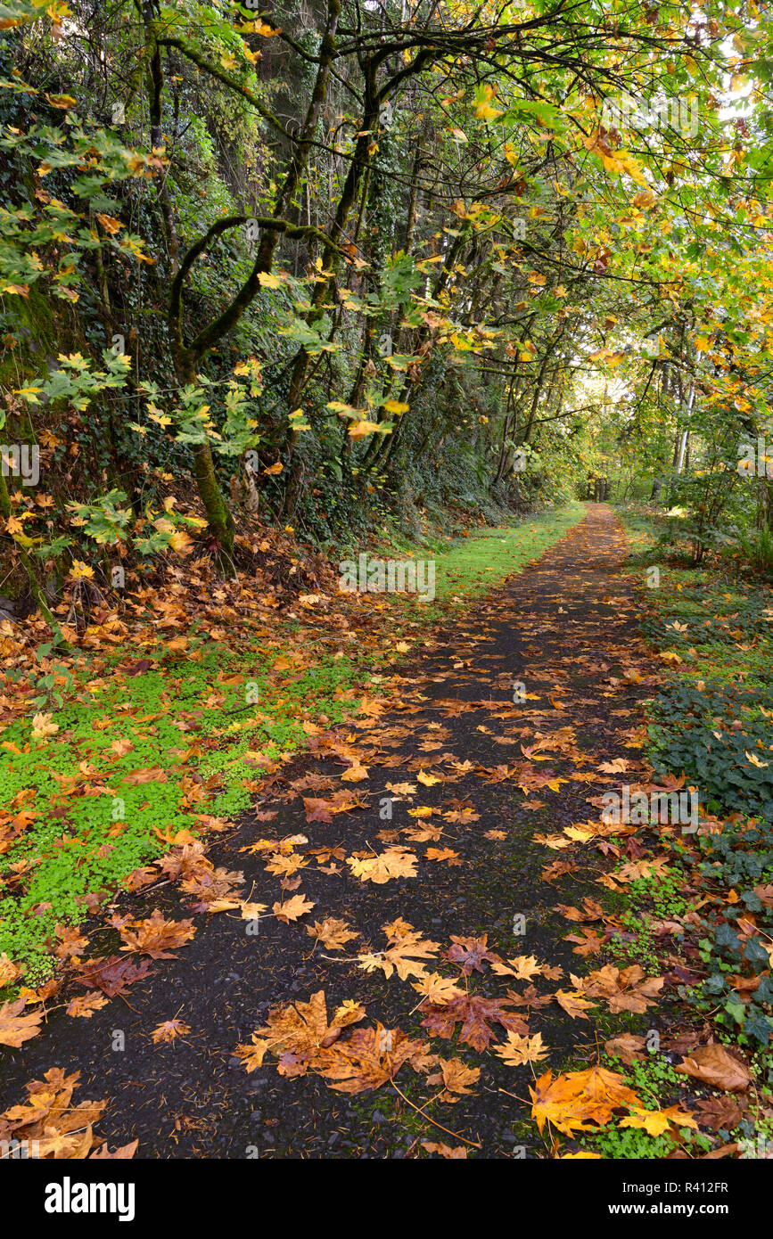 Macleay hi-res stock photography and images - Alamy