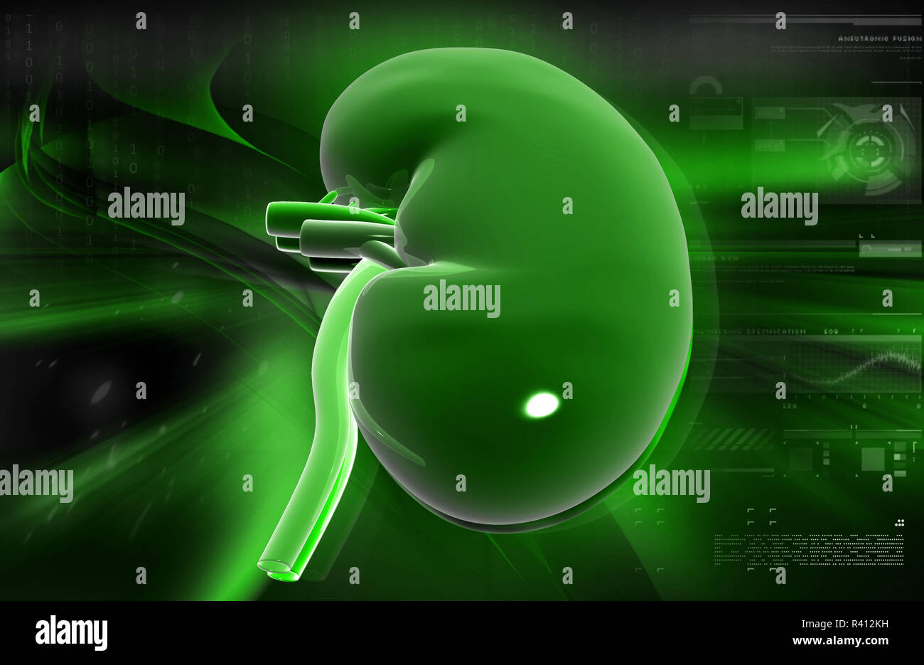 Kidney basin hi-res stock photography and images - Alamy
