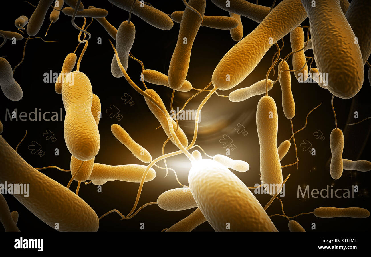 Vibrio cholera hi-res stock photography and images - Alamy