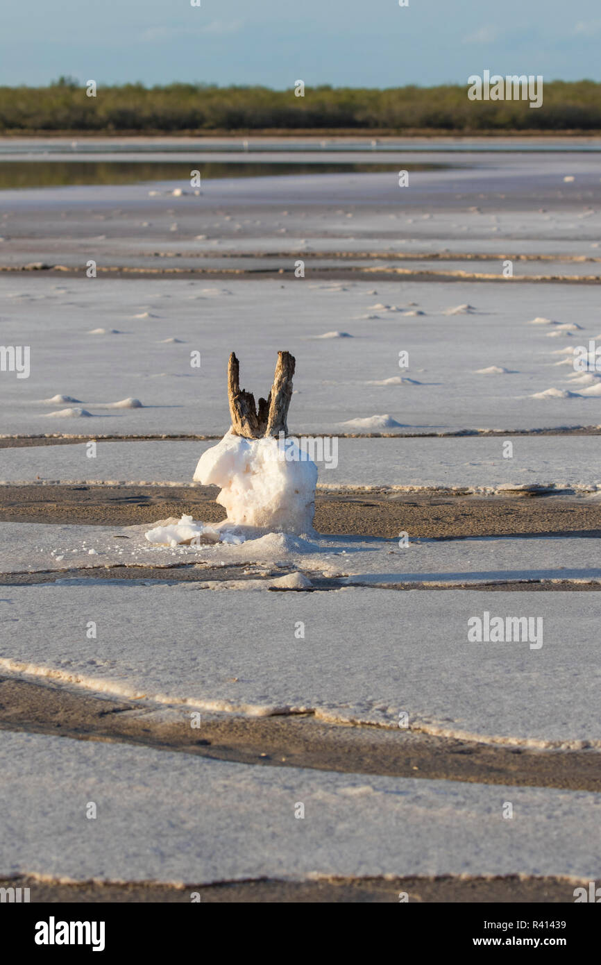 Sal del rey texas hi-res stock photography and images - Alamy