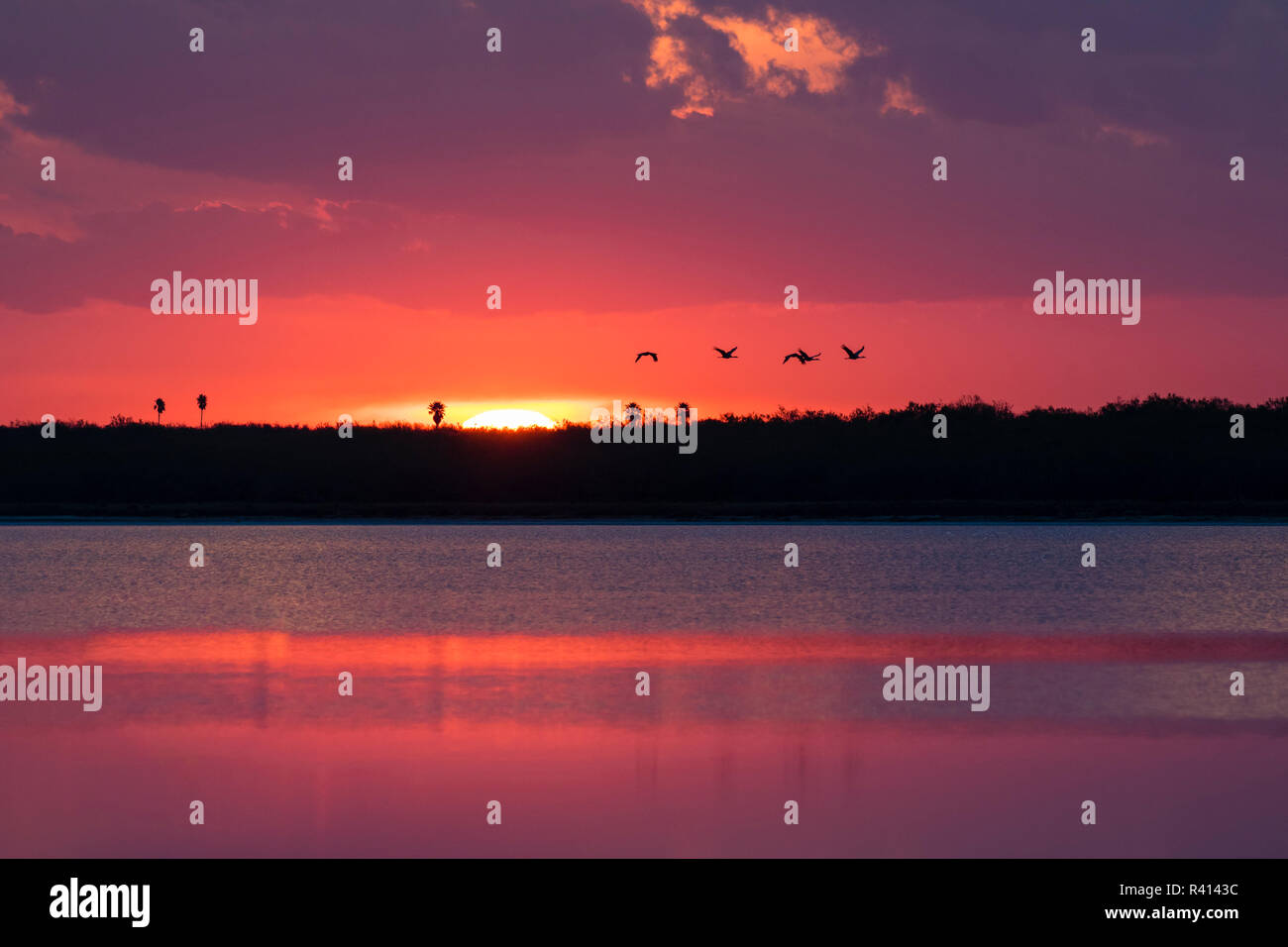 Sal del rey hi-res stock photography and images - Alamy