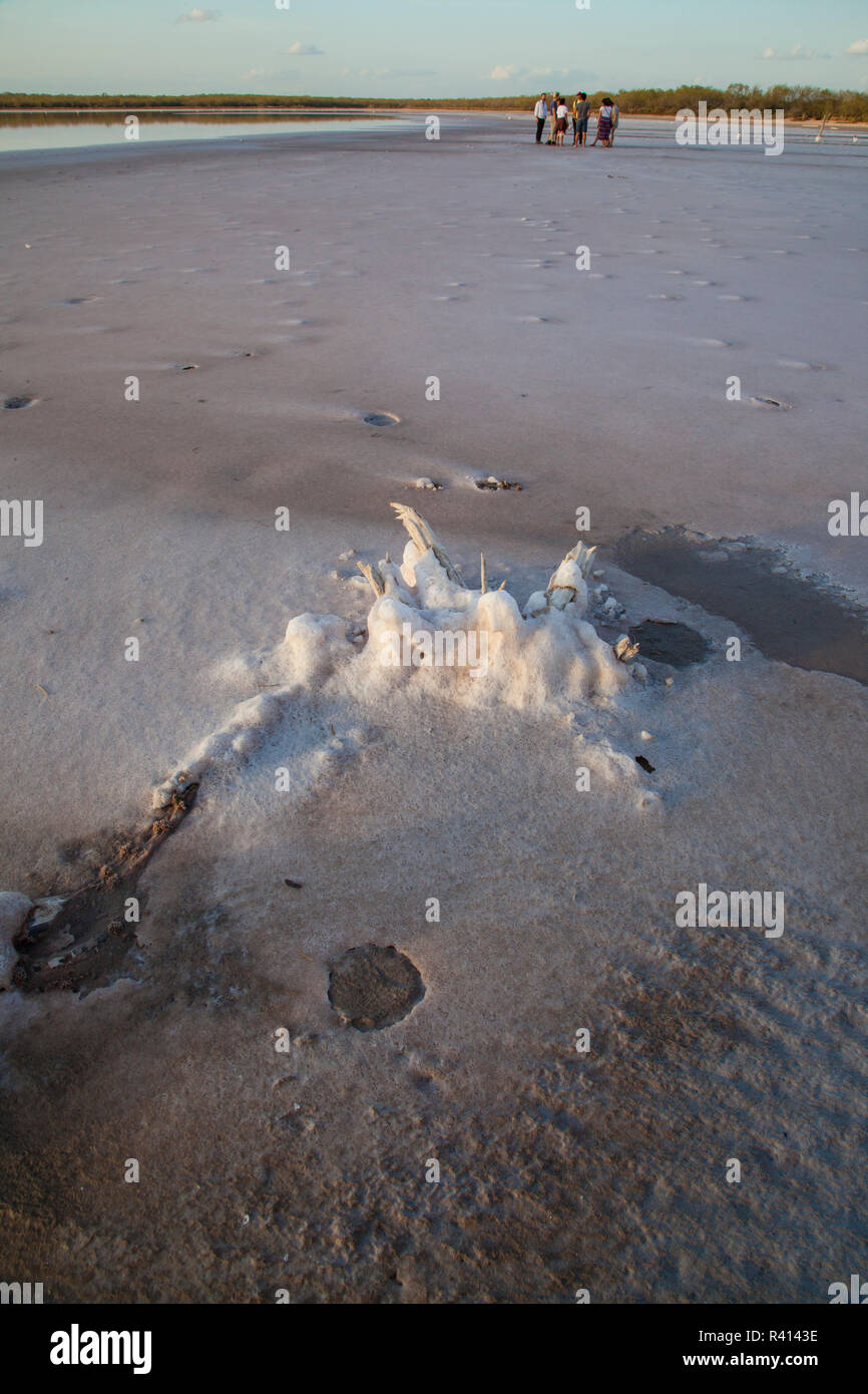 Salt deposits at Sal del Rey Stock Photo - Alamy