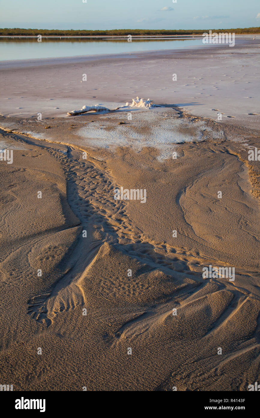 Salt deposits at Sal del Rey Stock Photo - Alamy