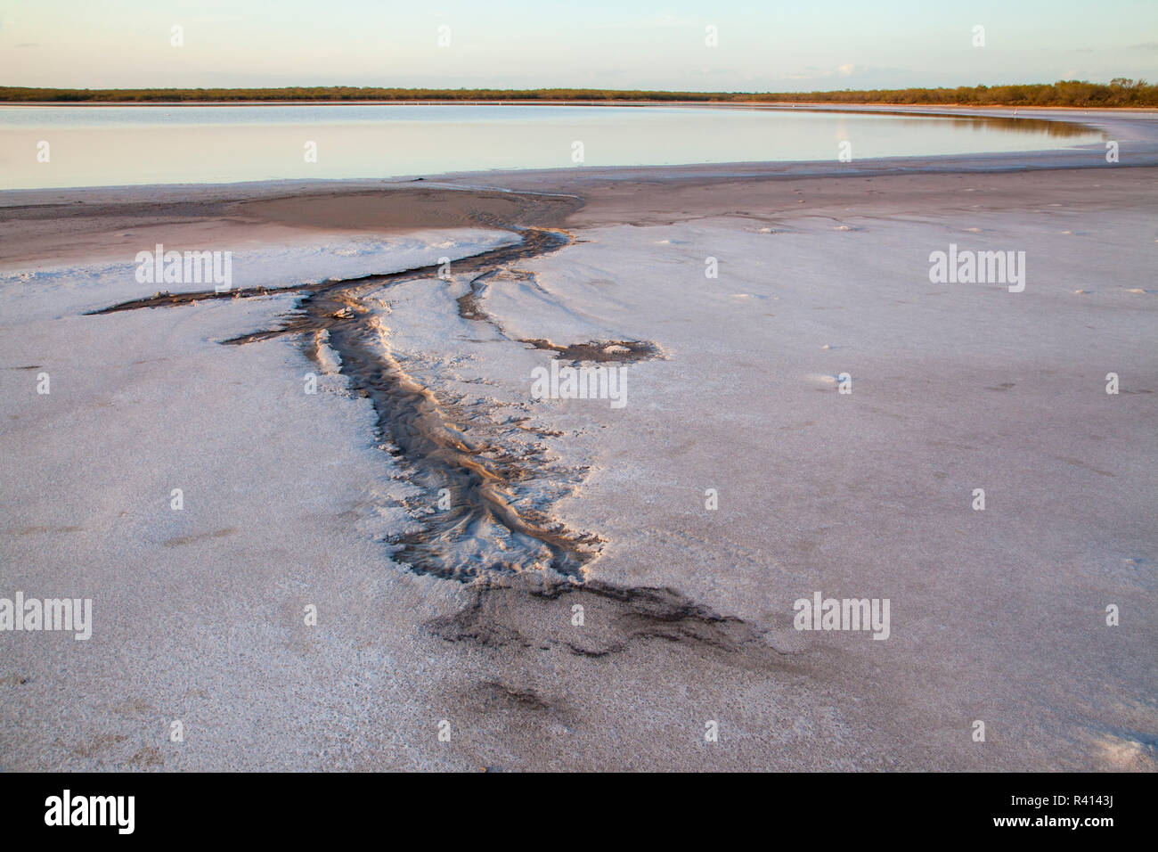 Salt deposits at Sal del Rey Stock Photo - Alamy