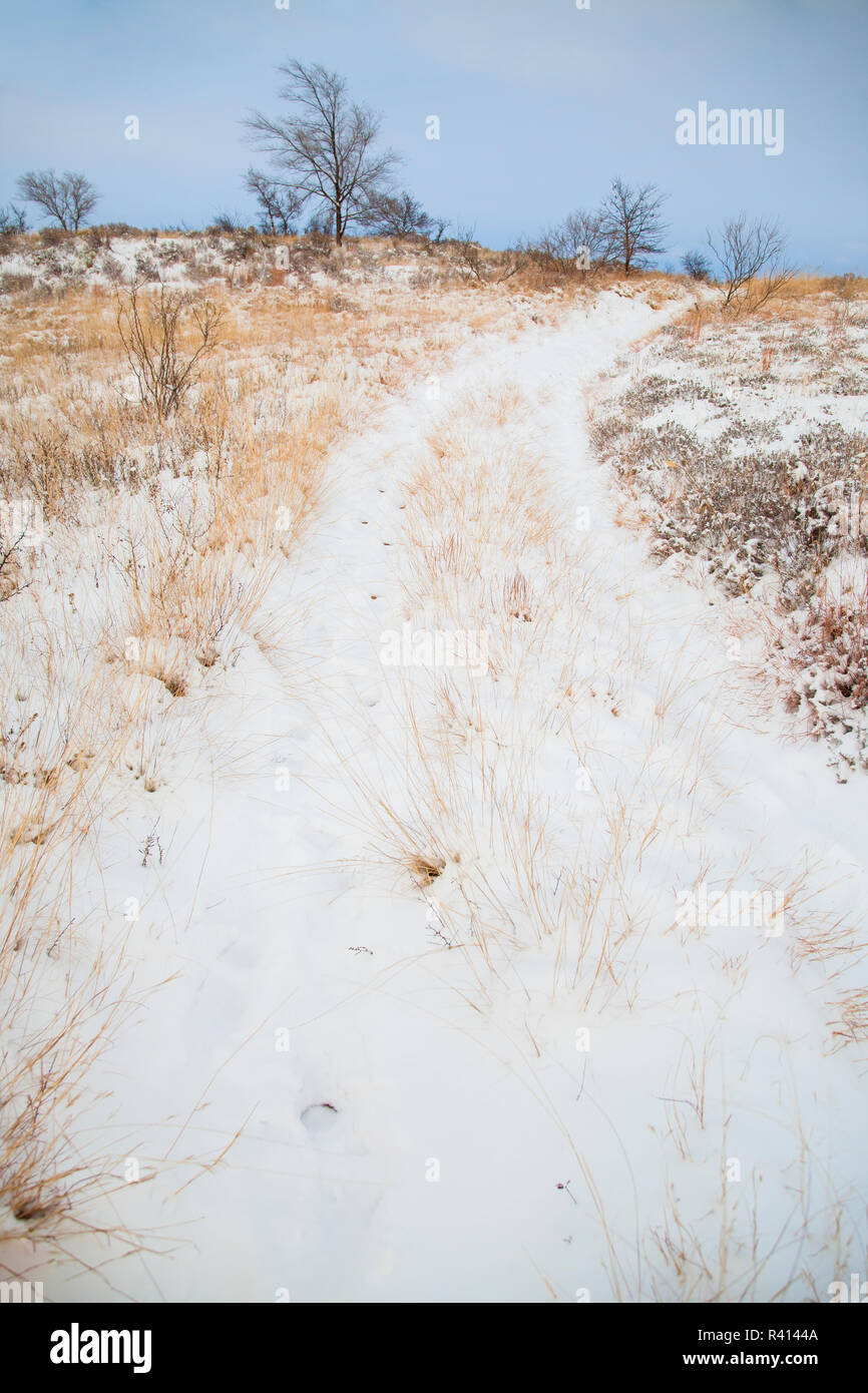 Snow on the prairie Stock Photo - Alamy
