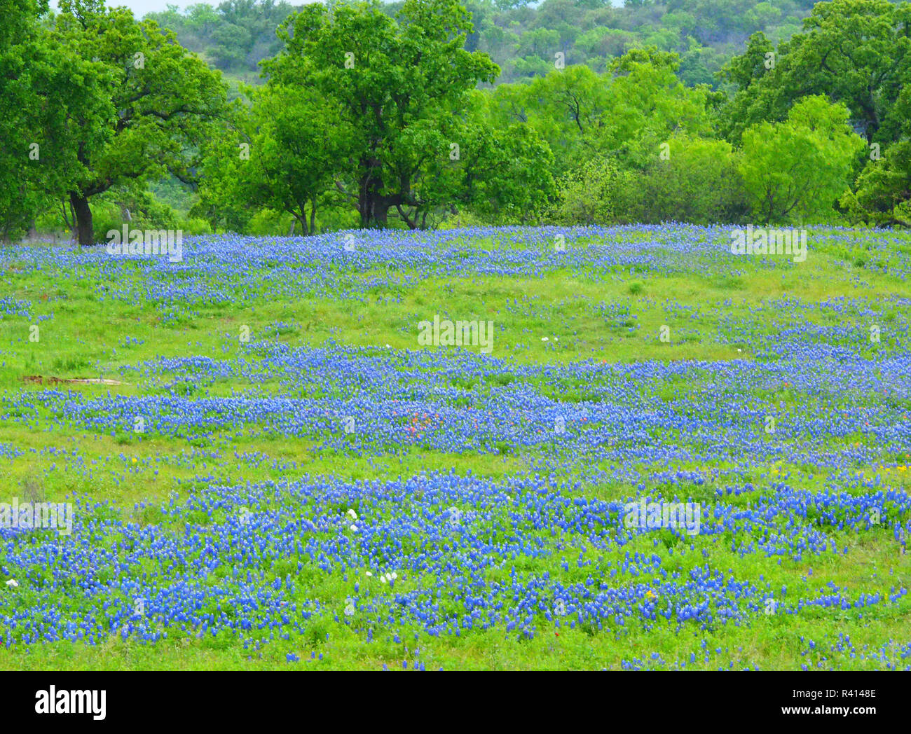 Highway 16 texas hi-res stock photography and images - Alamy