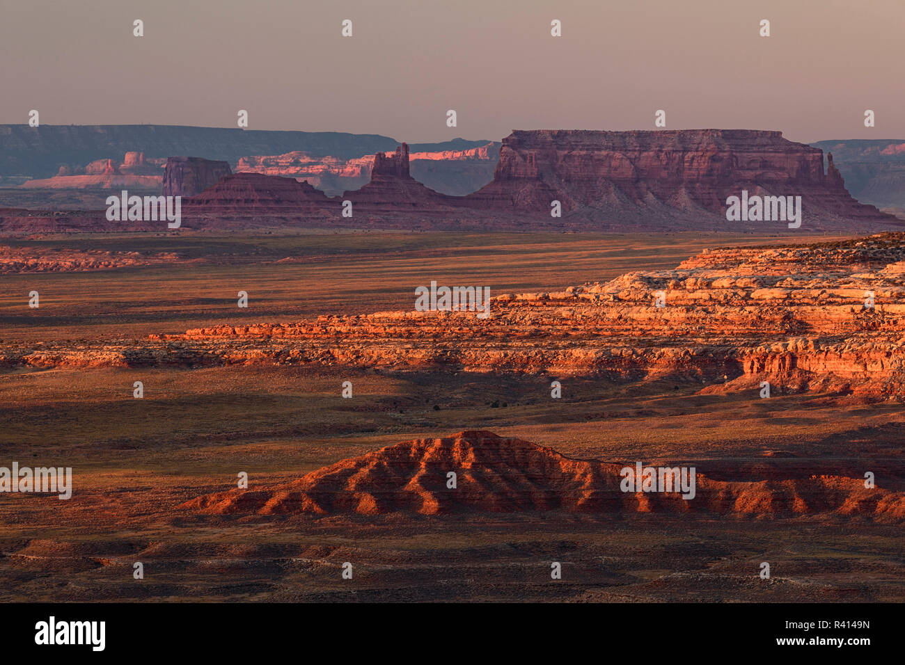 Muley point hi-res stock photography and images - Alamy