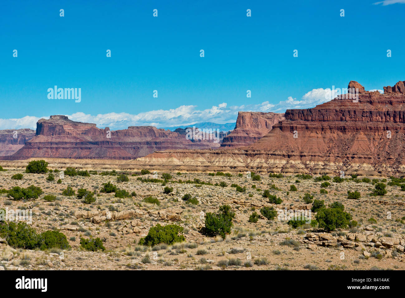 Spotted Wolf Canyon High Resolution Stock Photography and Images - Alamy