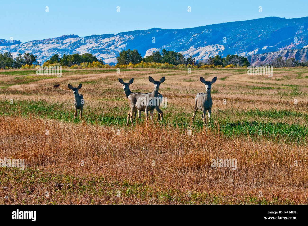 Notom road hi-res stock photography and images - Alamy