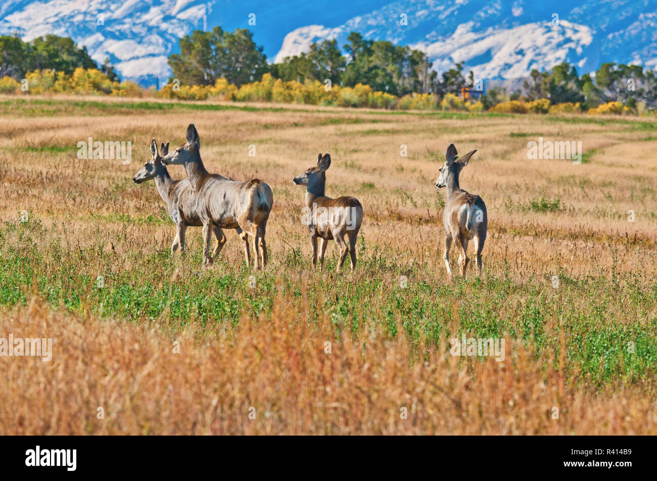 Notom road hi-res stock photography and images - Alamy