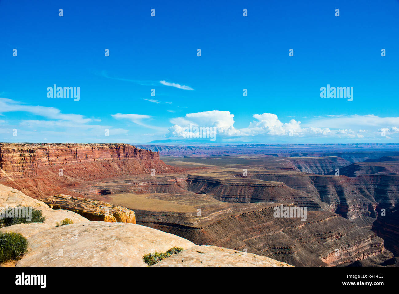 USA, Utah, Muley Point Overlook, San Juan River Goosenecks Stock Photo ...