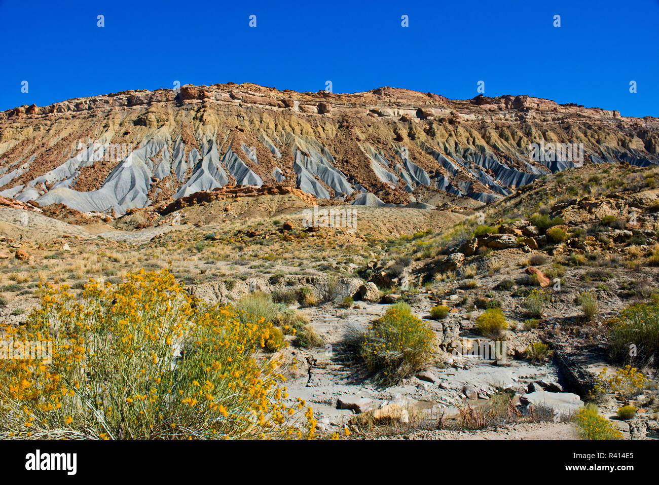 USA, Utah, Fruita, Capitol Reef National Park, Waterpocket Fold from ...