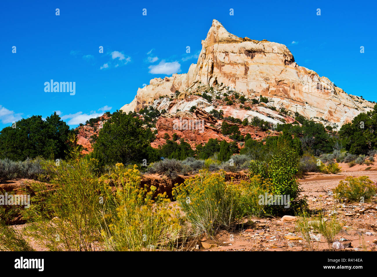 USA, Utah, Fruita, Capitol Reef National Park, Upper Muley Twist Canyon ...