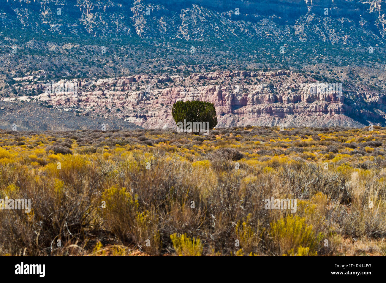 USA, Utah, Grand Staircase-Escalante, Hole in the rock Road, Straight ...