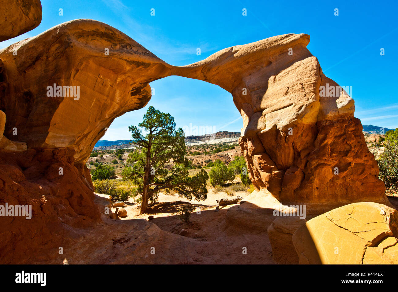 USA, Utah, Grand Staircase-Escalante, Hole in the rock Road, Devil's ...