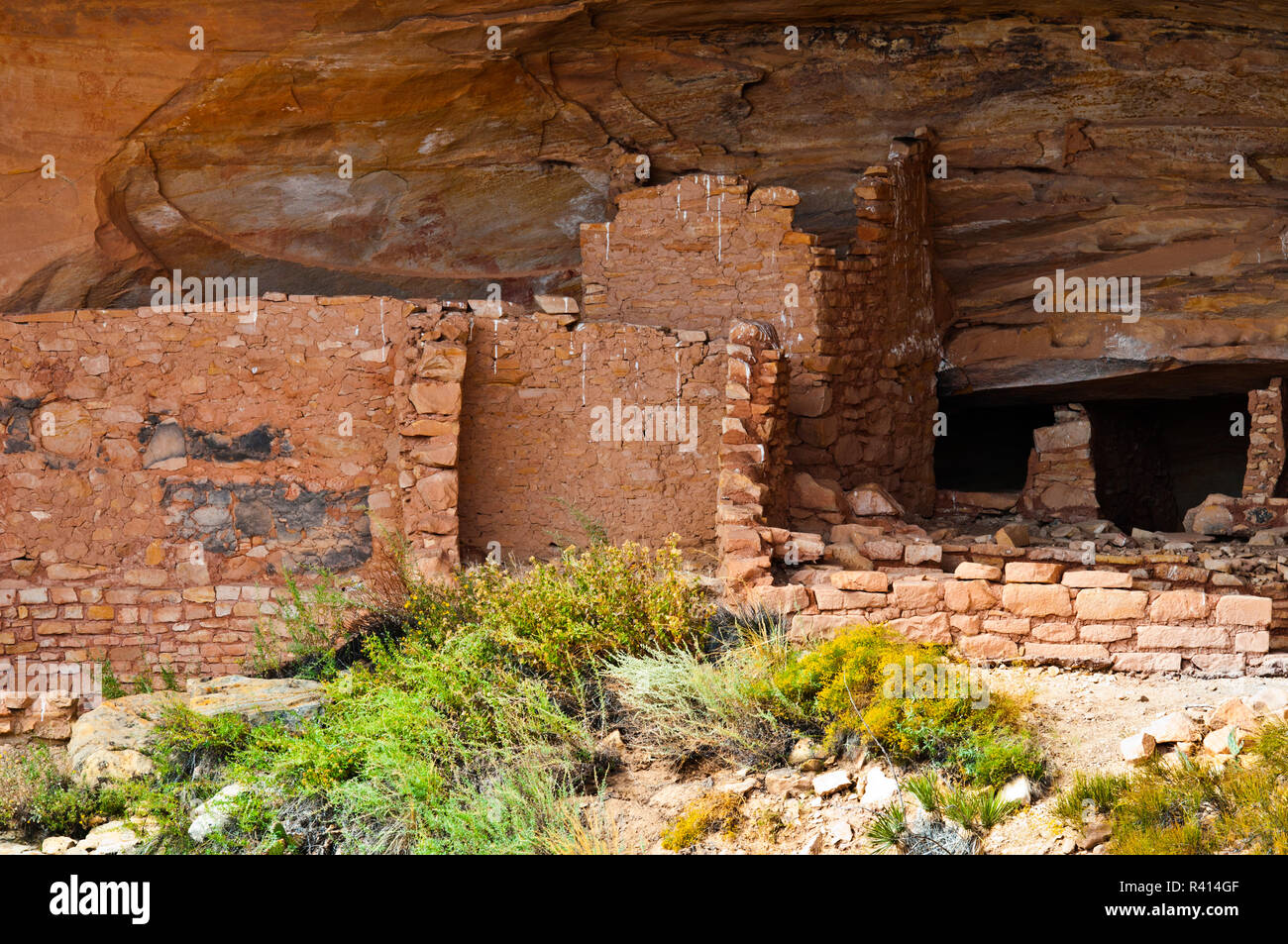 USA, Utah, Butler Wash Anasazi Ruins, Bears Ears National Monument ...