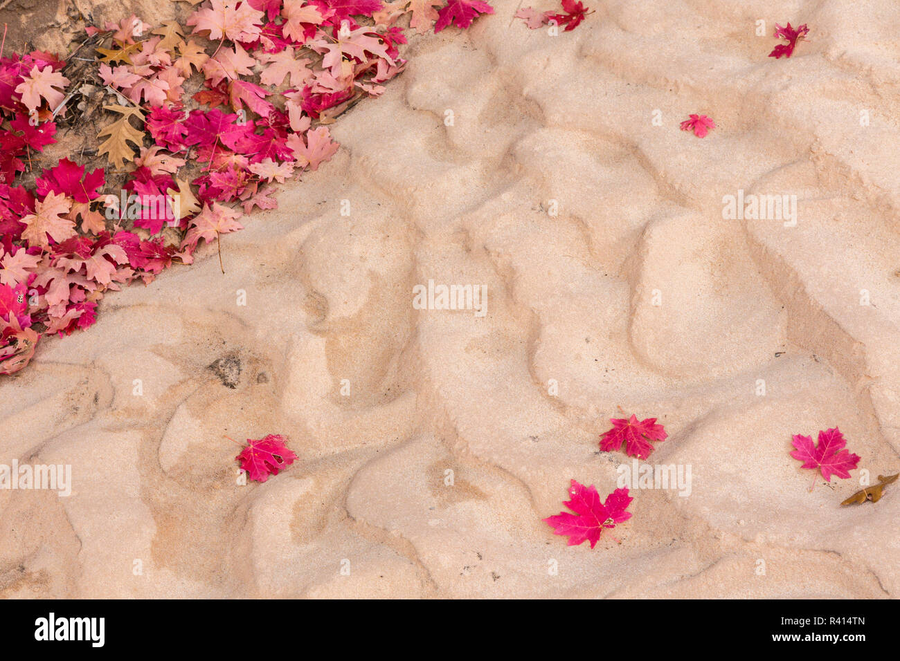 Usa pattern patterns hi-res stock photography and images - Alamy