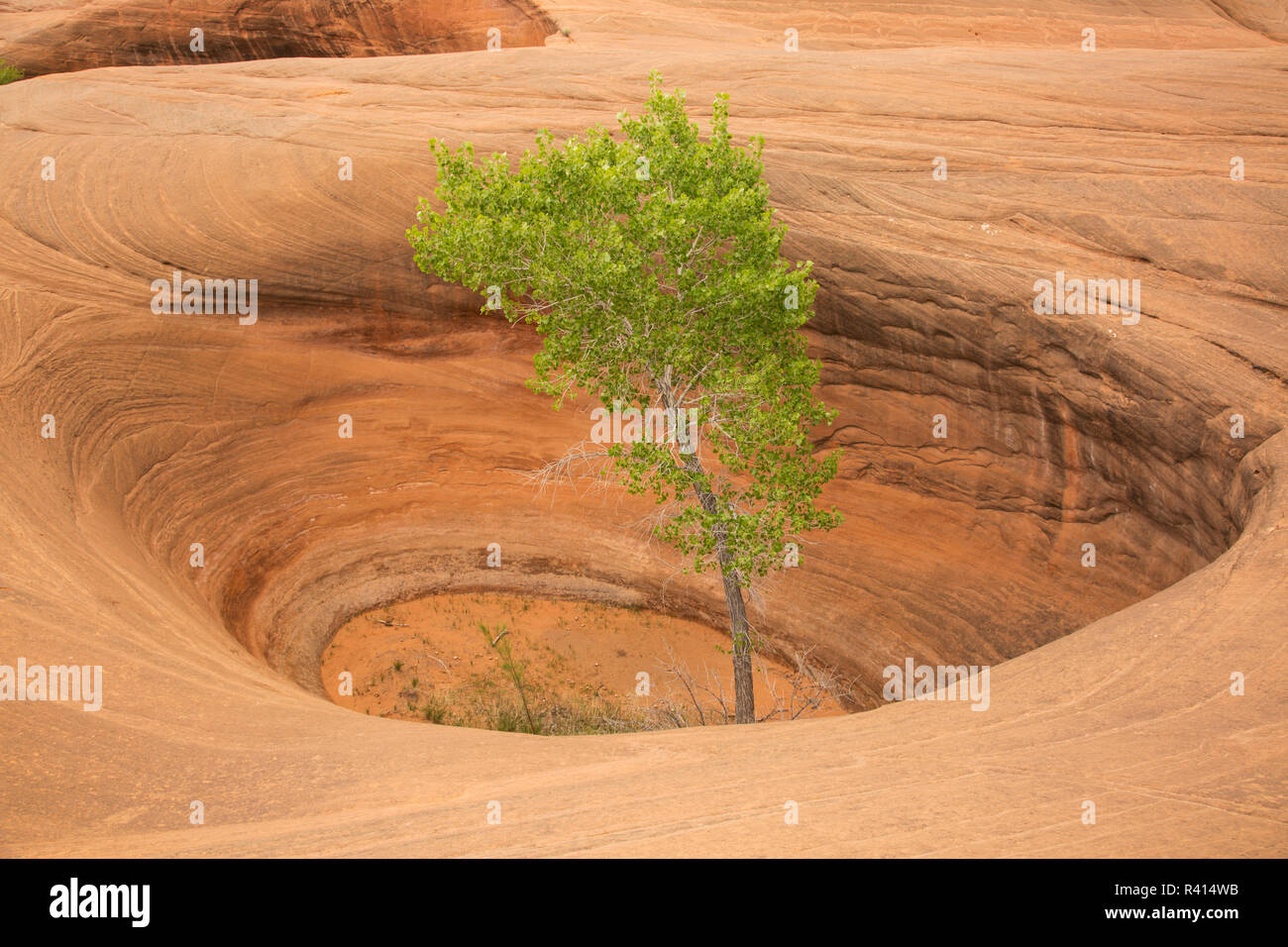 USA, Utah, Grand Staircase-Escalante National Monument. Fremont ...