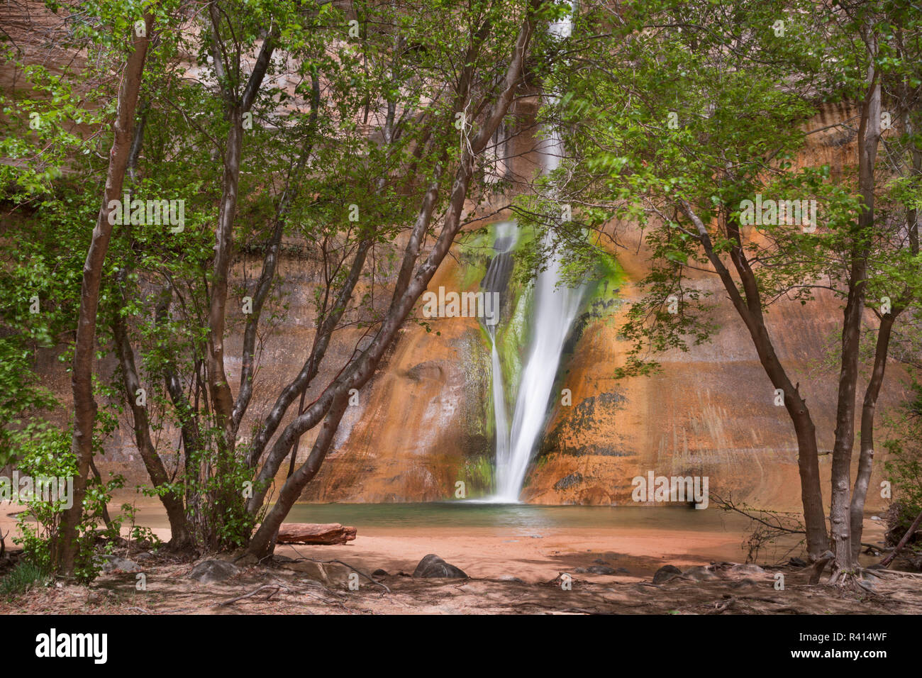 USA, Utah, Grand Staircase-Escalante National Monument. Lower Calf ...