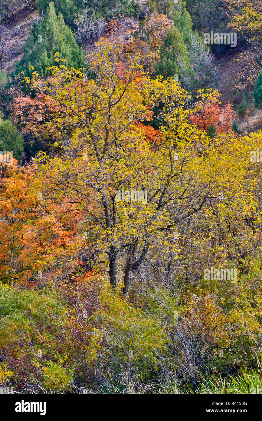 Logan river hi-res stock photography and images - Alamy