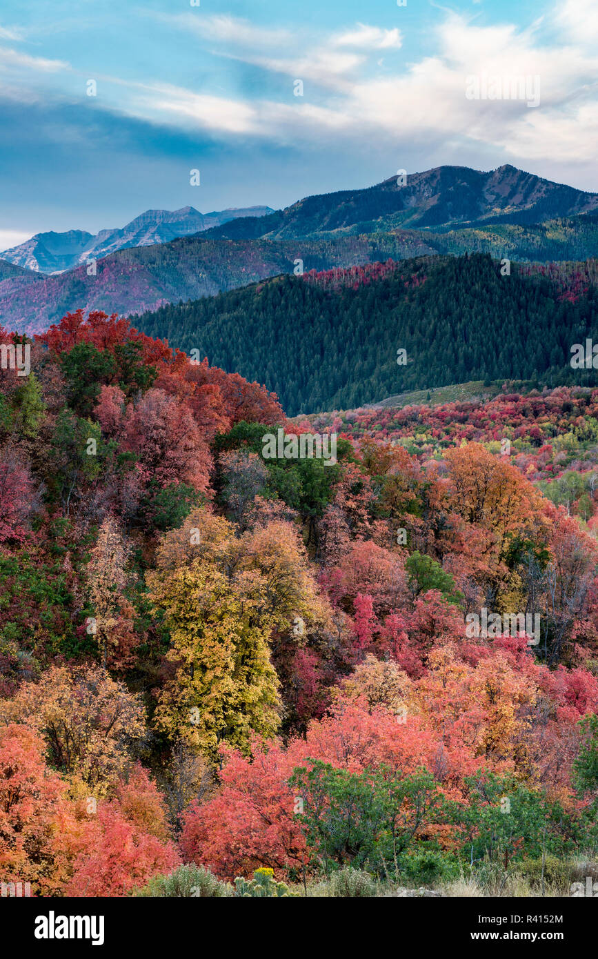 Heber utah hi-res stock photography and images - Alamy