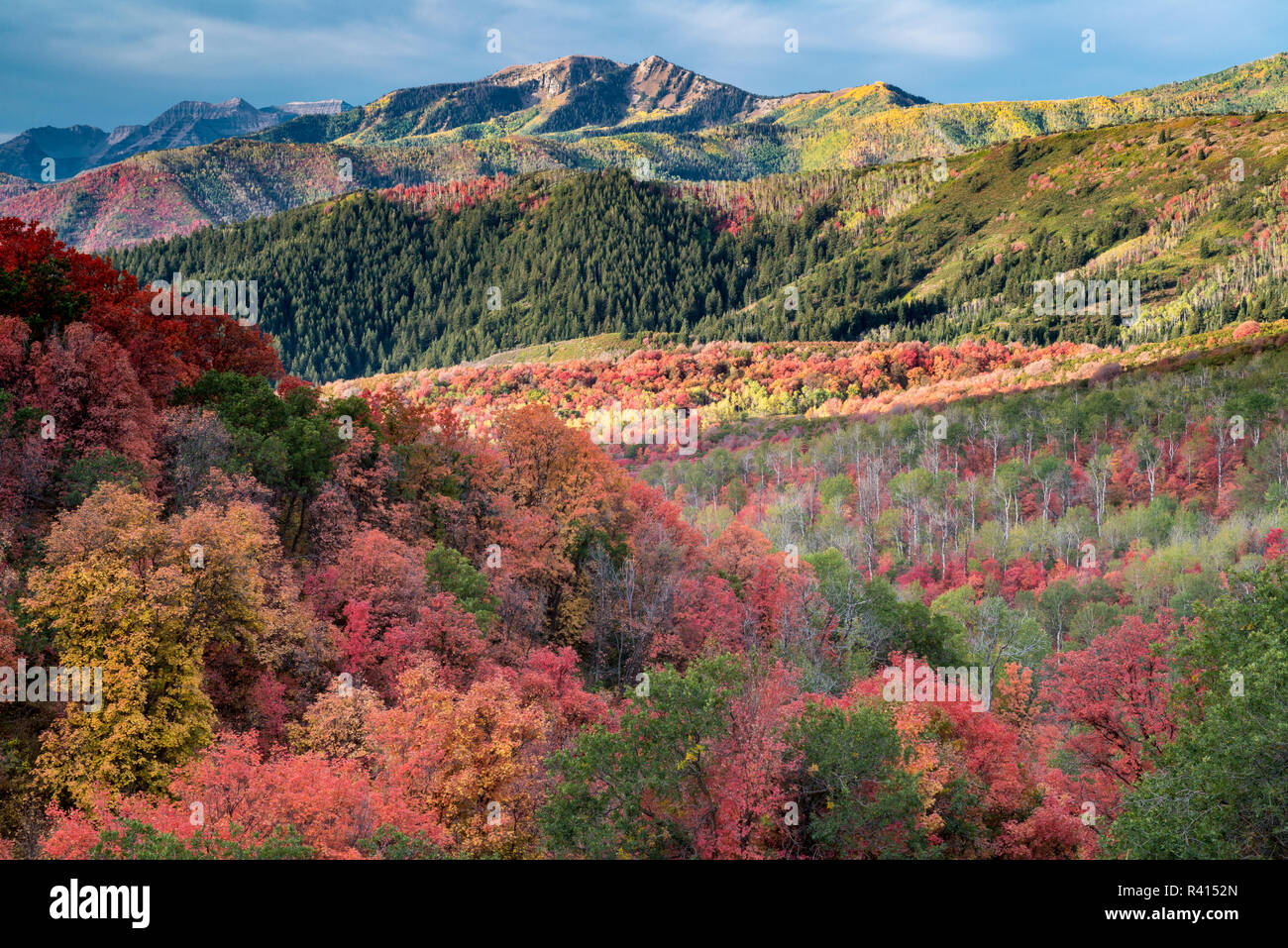 Heber utah hi-res stock photography and images - Alamy