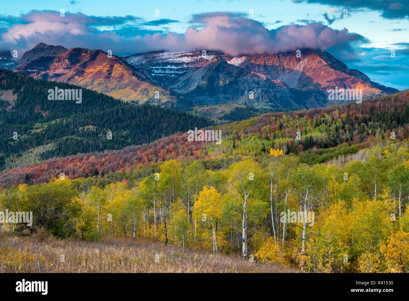 Mount timpanogos hi-res stock photography and images - Alamy