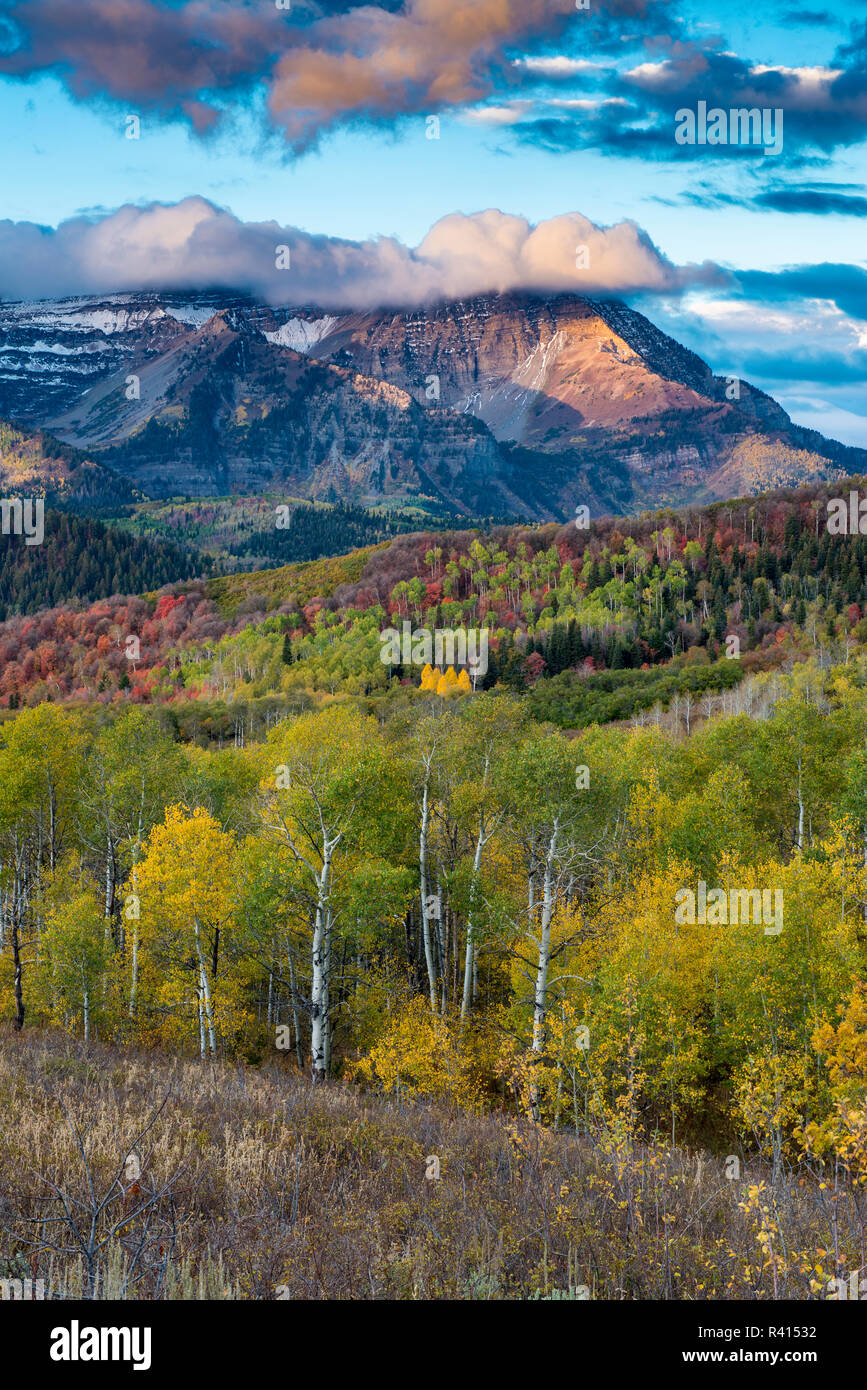 Mount Timpanogos and Brilliant Fall Foliage, Wasatch Mountains, Utah ...