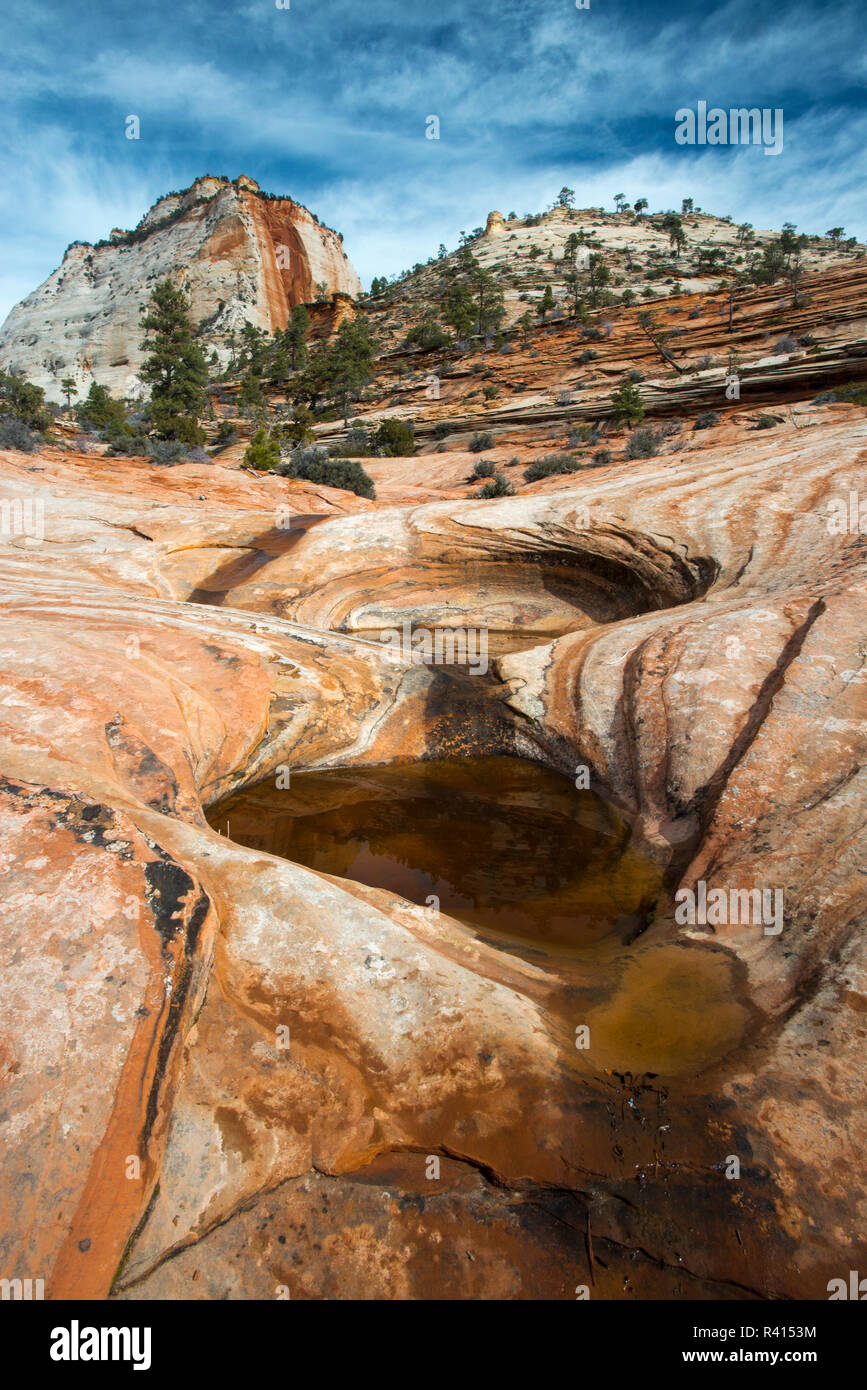 Striation texture hi-res stock photography and images - Alamy