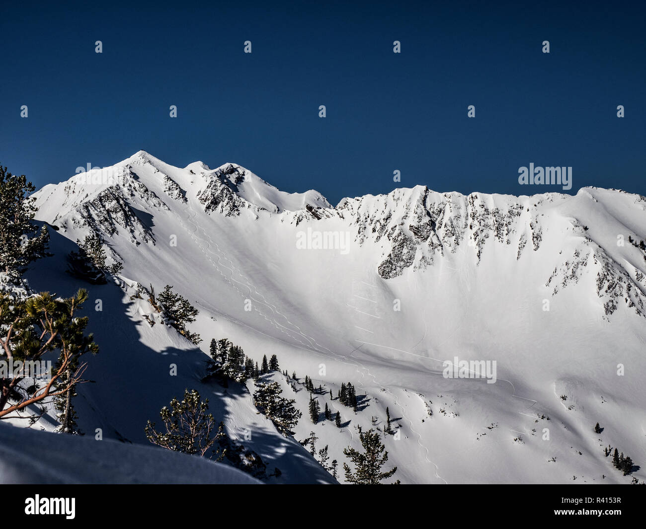 Ski tracks in Cardiac Bowl, Utah Stock Photo - Alamy