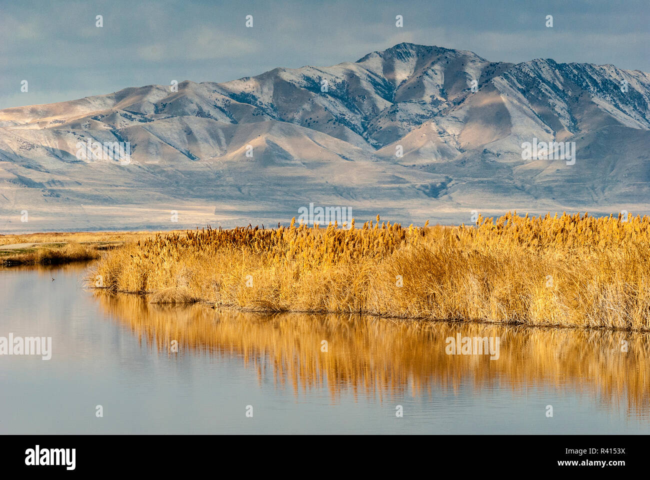 Reflection on Bear River National Wildlife Refuge, Utah Stock Photo - Alamy