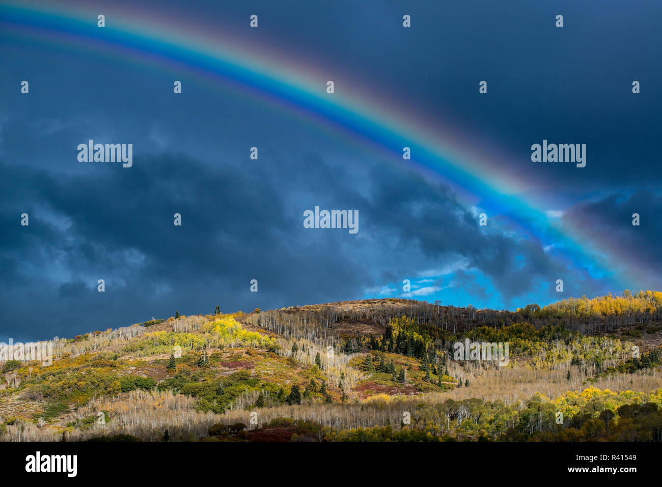 Wasatch cache national forest provo hi-res stock photography and images ...
